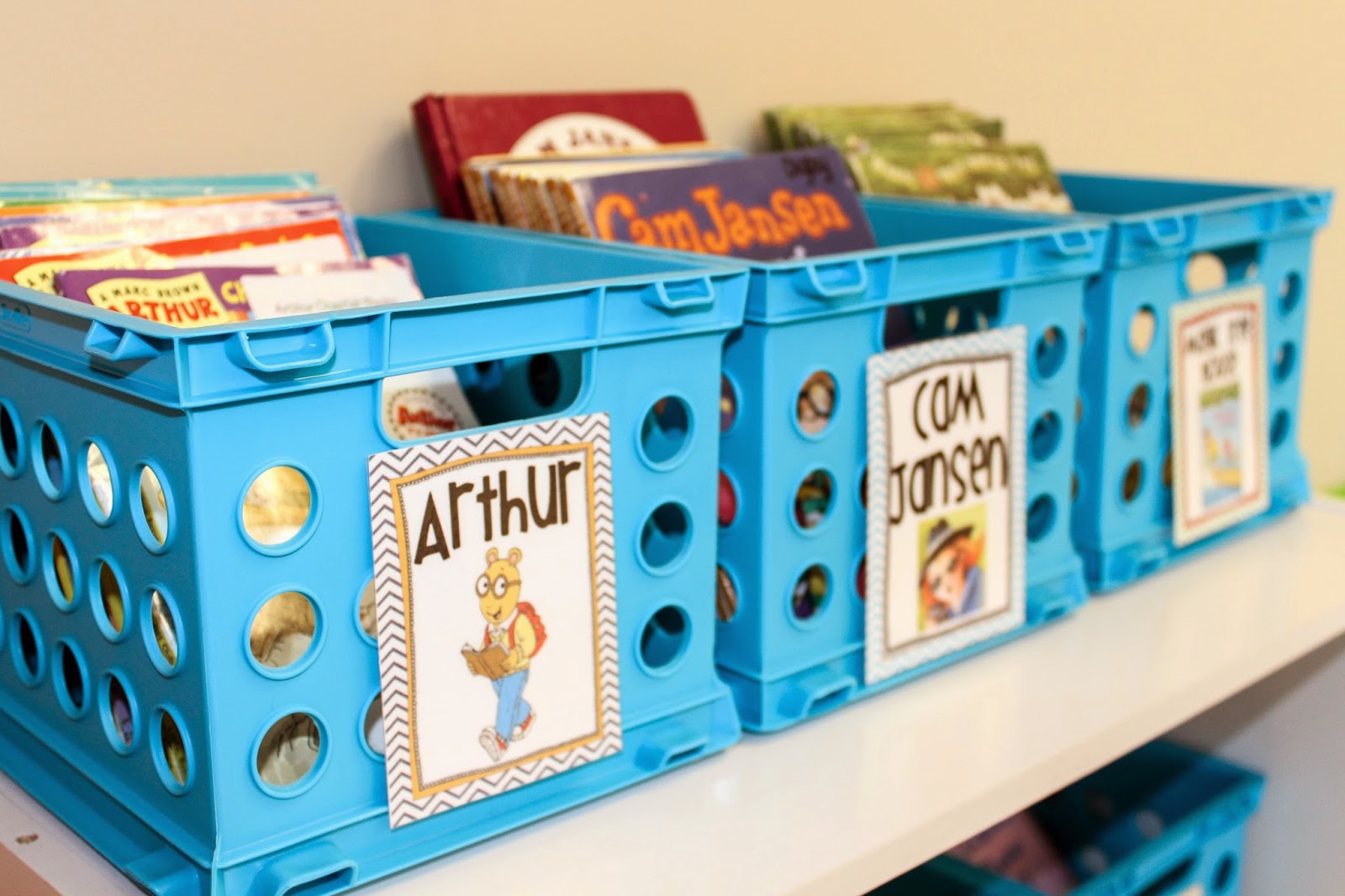 Shop. Teach. Georgia Peach.: My Classroom Library