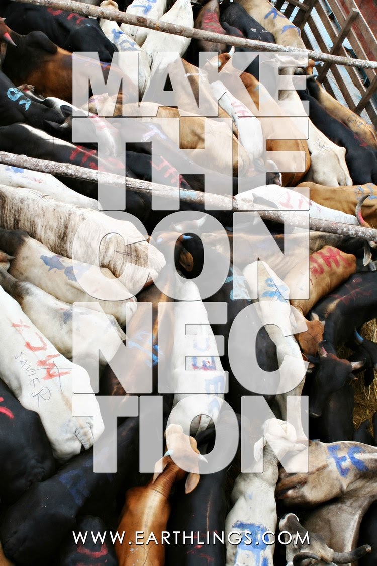 EARTHLINGS documentary film about humankind's dependence on animals for ...