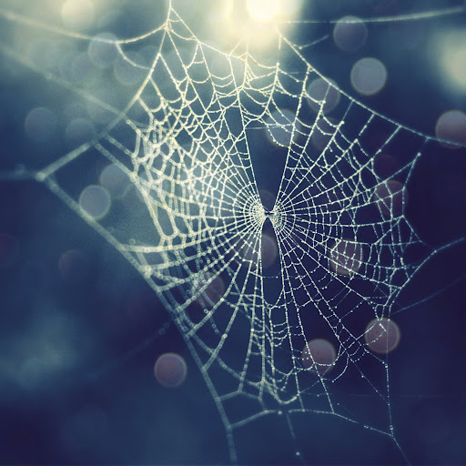 Oh What A Tangled Web… | Self-Love Rainbow