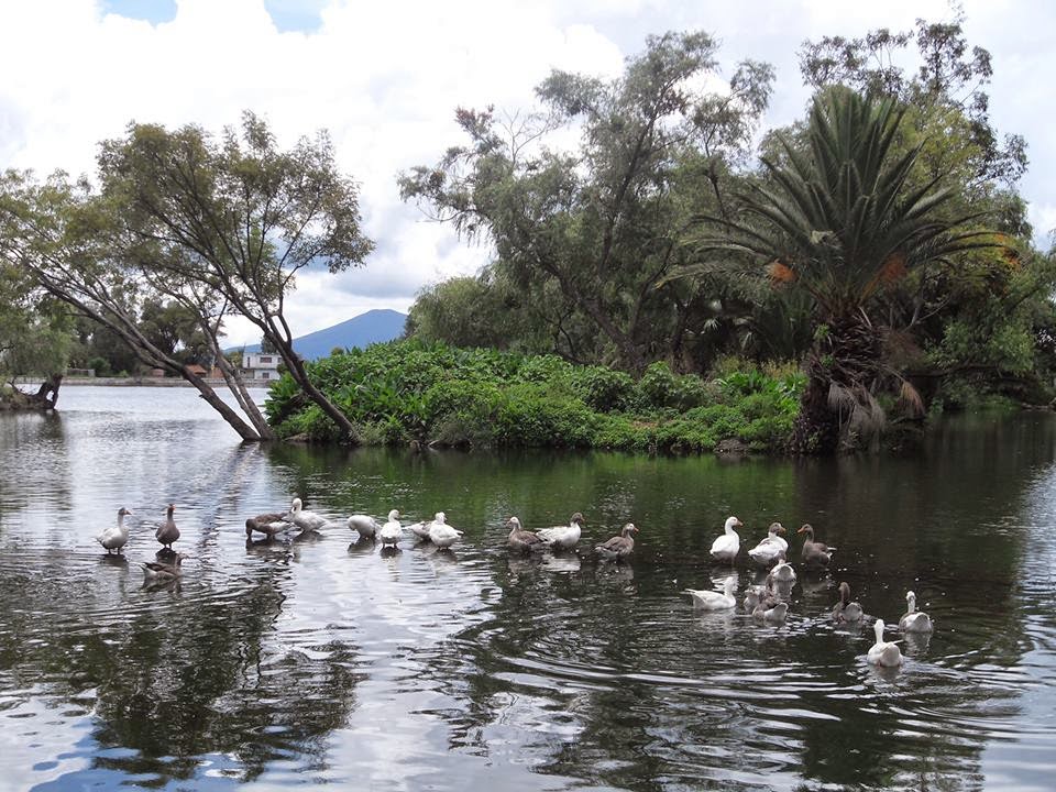 Coeneo de la Libertad Michoacán: El Bebeto Cuando Tu Me Besas Video Oficial