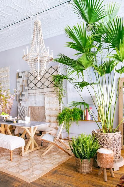 4Decor by Carsta: Decoração Tropical, as dicas perfeitas!