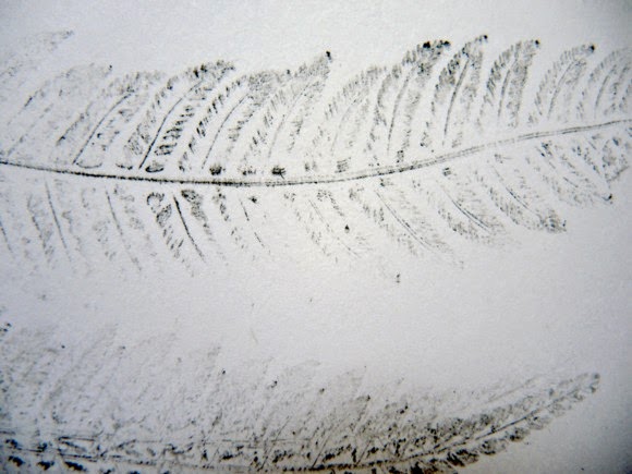 WINTER 2014 || BRING NATURE IN, MAKE SMOKE PRINTS - katiecrackernuts