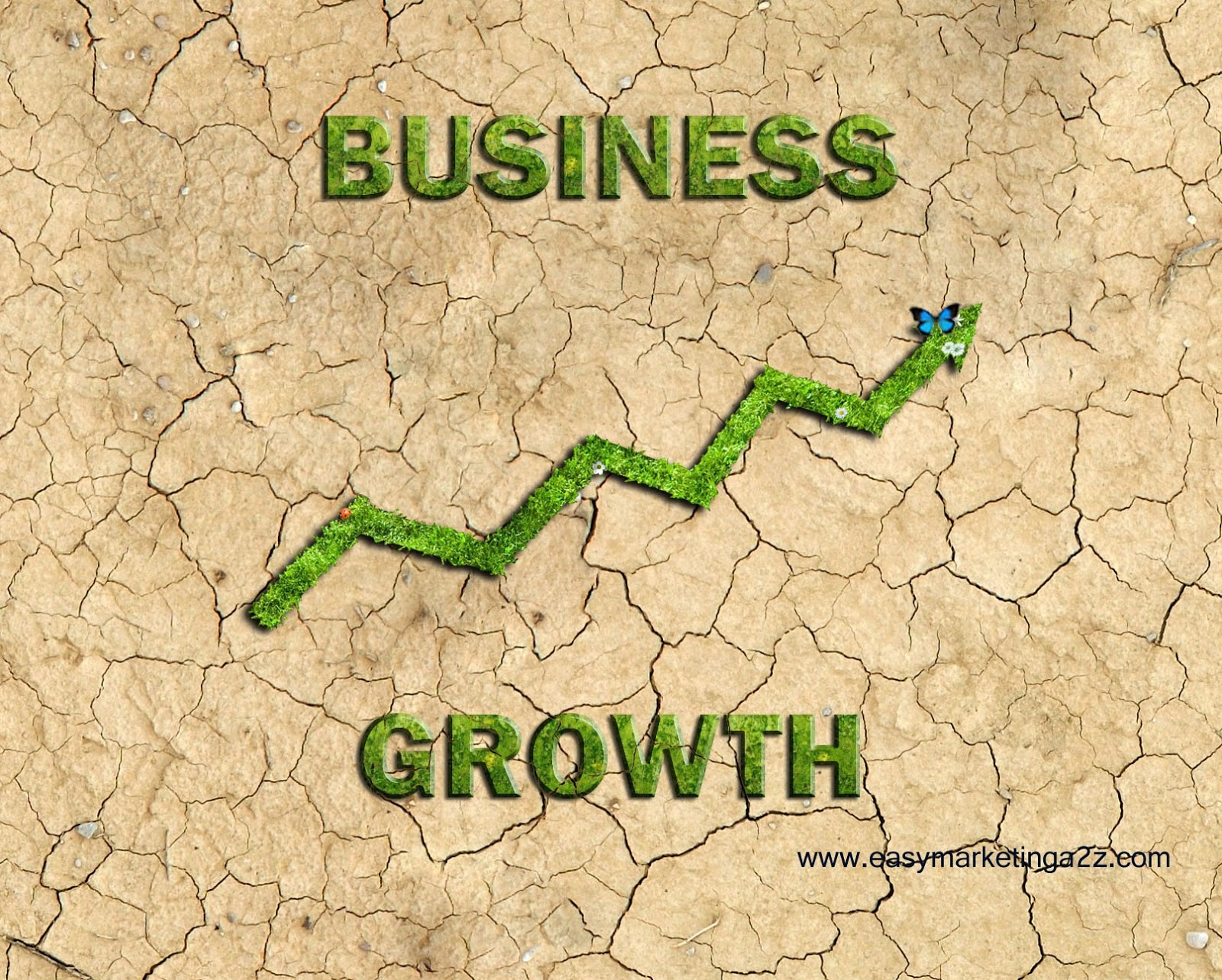25 High Quality Free Pictures on "Growth" "Business Growth" for ...