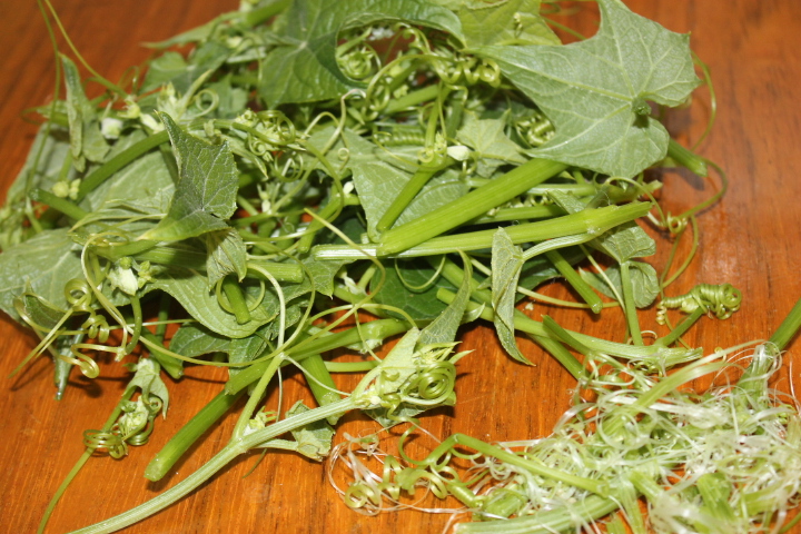 Mely's kitchen: Ginisang Talbos ng Sayote with Pork