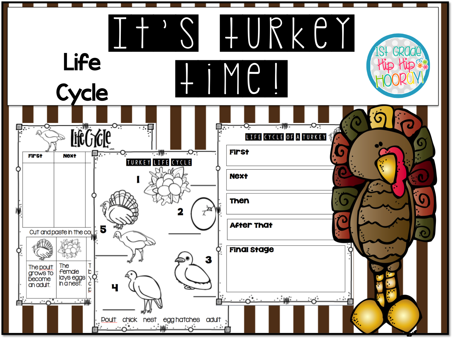 1st Grade Hip Hip Hooray!: It Is Turkey Time!