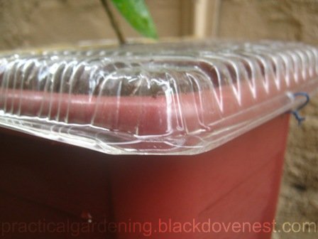 Practical Gardening: Homemade Garden Pot Cover for Rains