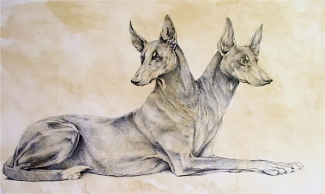 Two headed dog, Mythological creatures, Mythology