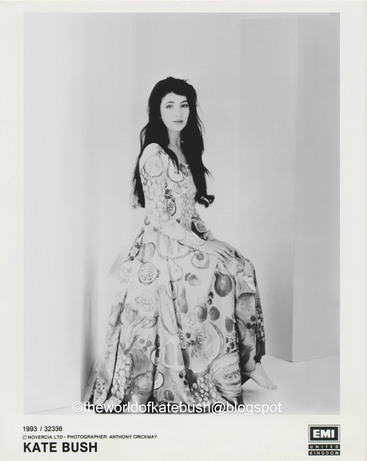 THE WORLD OF KATE BUSH: Promotional Publicity Photographs