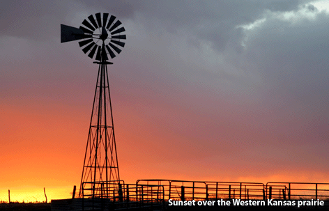 Solace Through Solitude: Gypsy Autumn