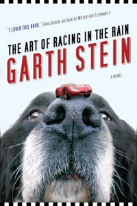 The Ladybug Reads...: Review - The Art of Racing in the Rain