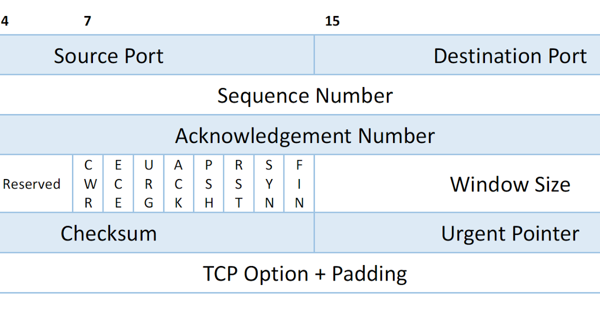 Tu的雜七雜八筆記本 Libpcap Dump Tcp Segment And Udp Datagram11