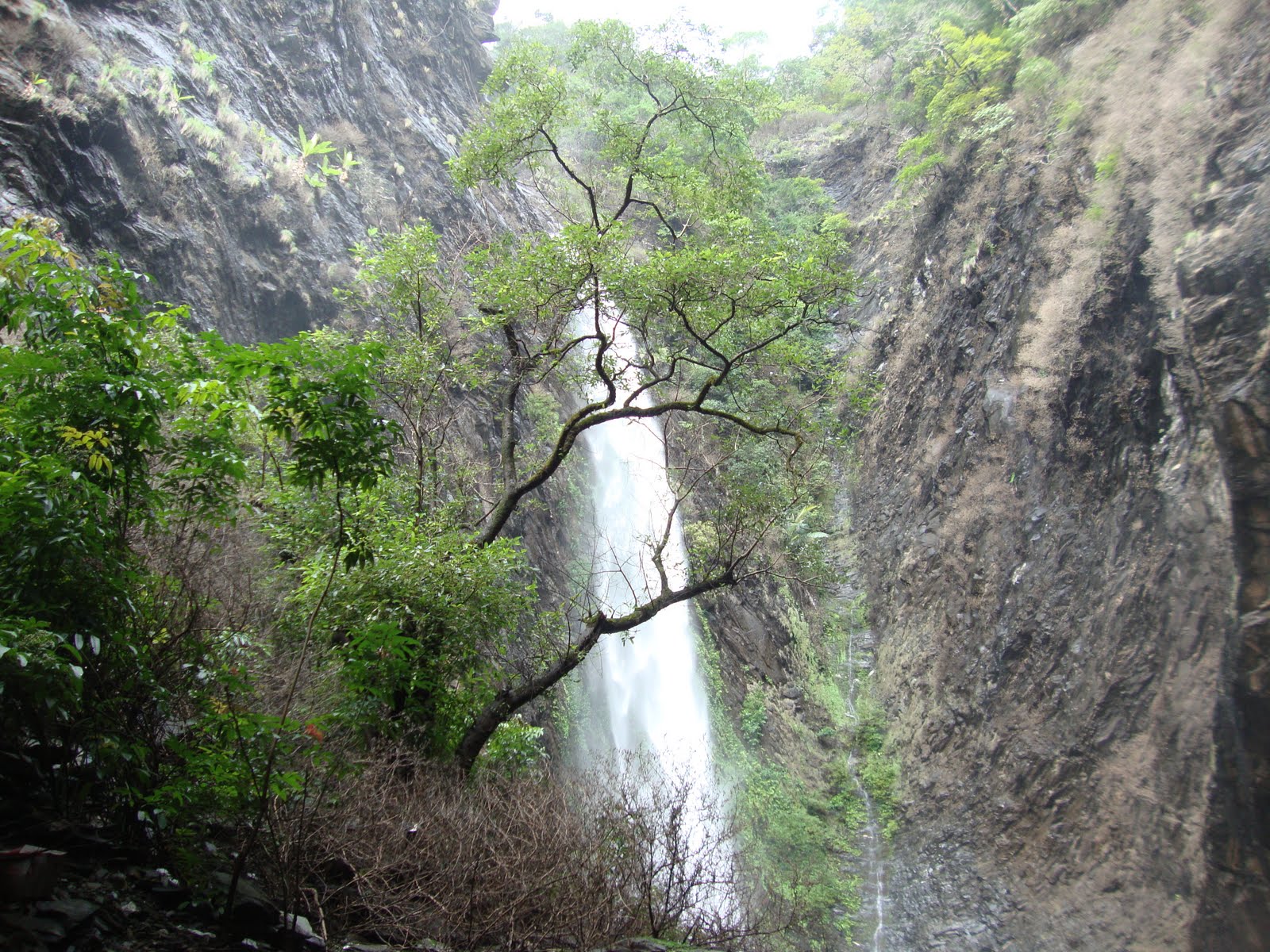 YENNAAR: Kudlu (Koodlu) falls, Agumbe, Karnataka