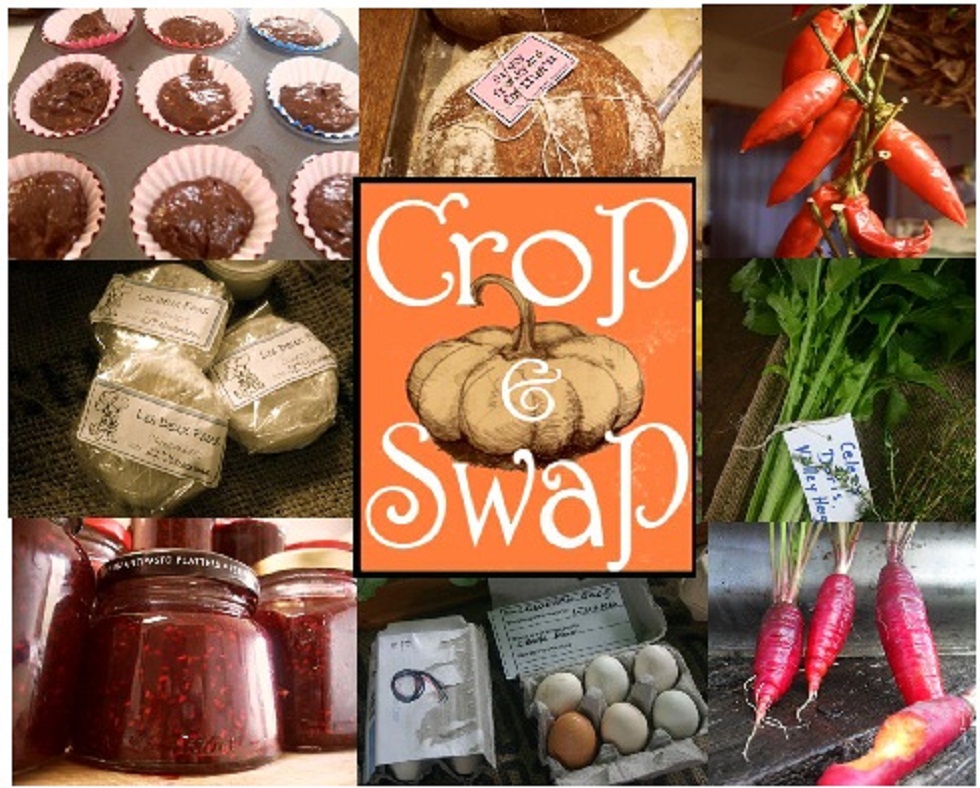 Crop and Swap: What is the Crop & Swap?