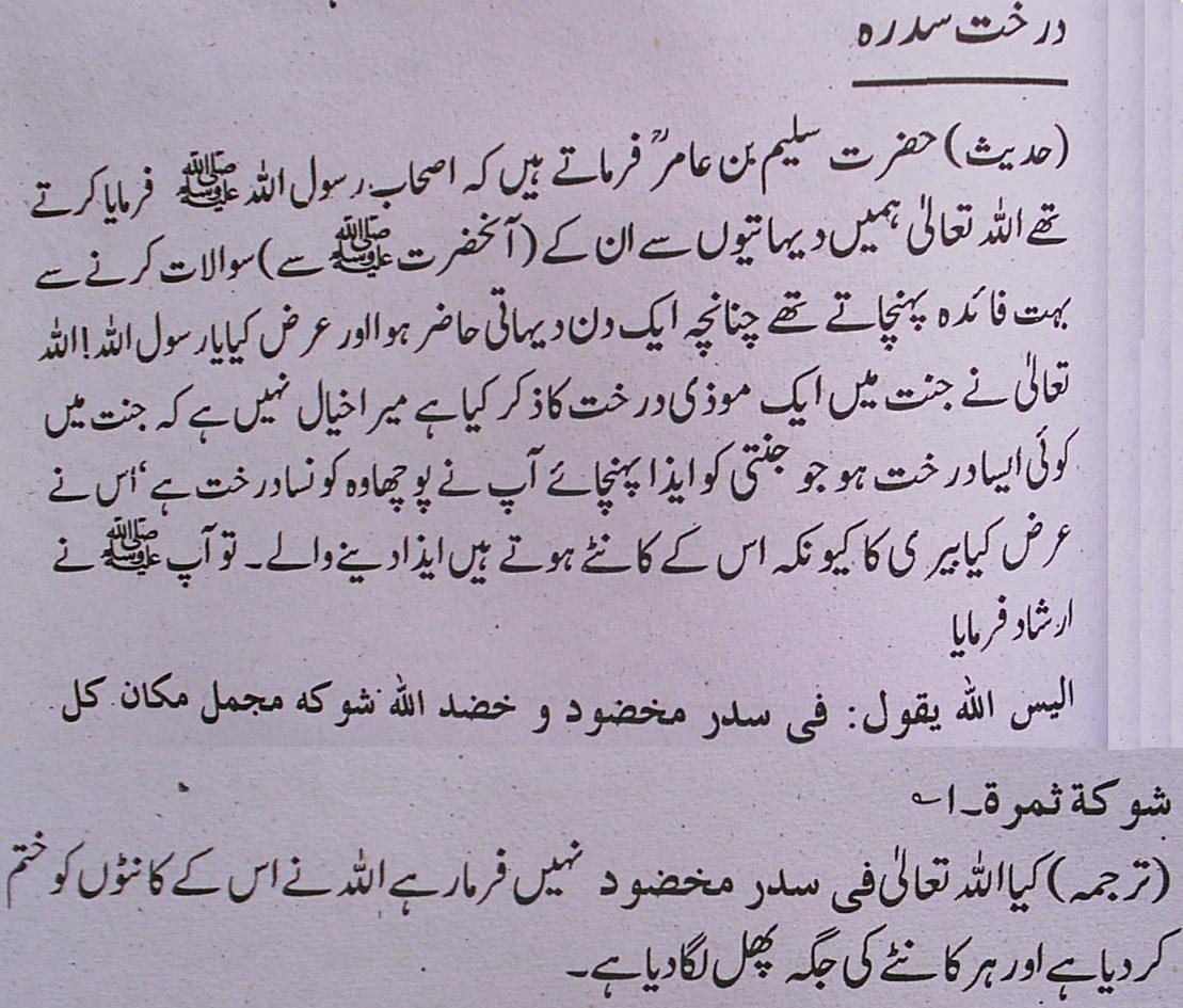 Dawat e Rohaniat ~*~ دعوتِ روحانیت: History of Sacred Trees