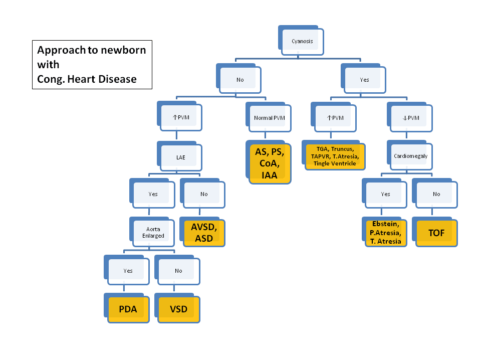 Pedi cardiology: Newborn with Congenital Heart Disease - Clinical Approach