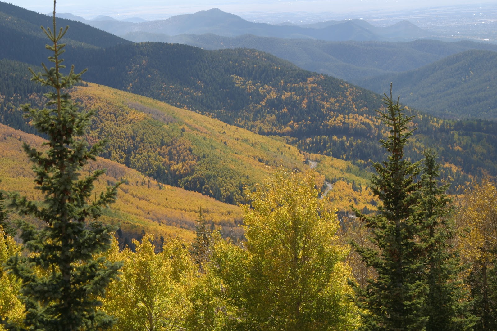 Fall foliage, Santa Fe, NM autumn leaves color, Casa Escondida B&B ...