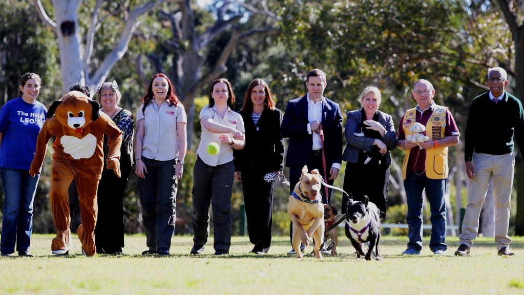 Pawsitive Steps, The Hills - August 28 | Australian Dog Lover