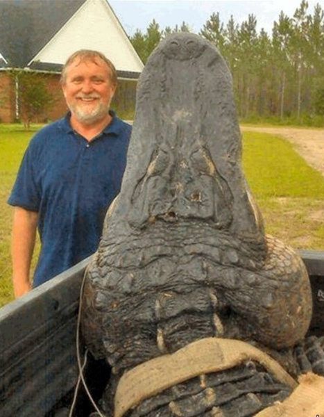 Cool & Krazzy: Monstrous Five Meters Long Crocodile