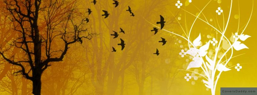 Facebook Covers Birds #2 | Facebook Covers | Timeline, cover, Photo