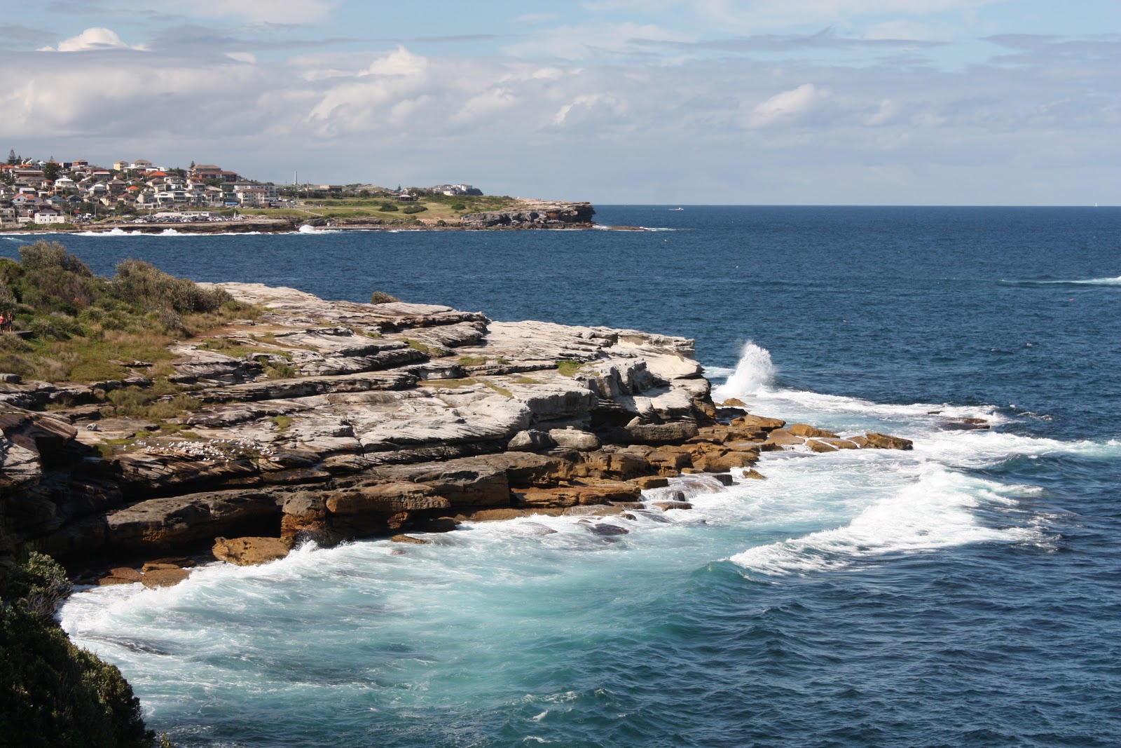 Sydney - City and Suburbs: South Coogee