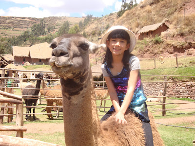 Williamson Family in Peru: Riding llamas