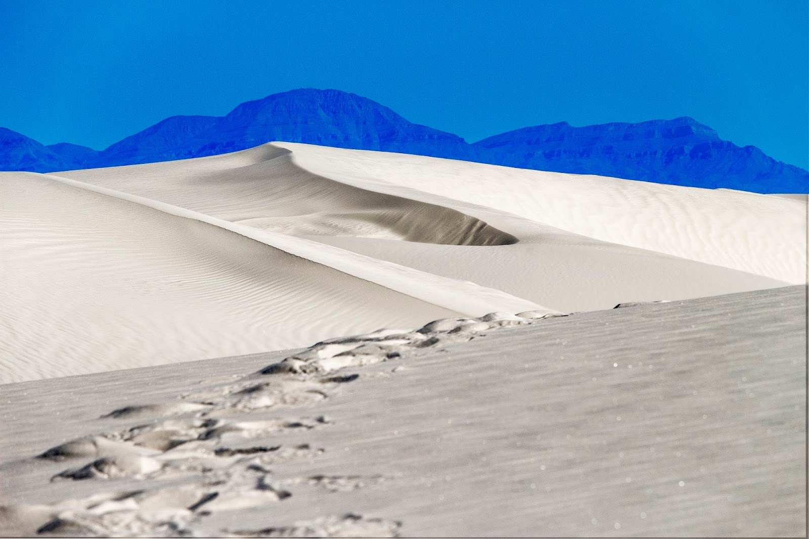Travel Guide 201: White Sands National Monument