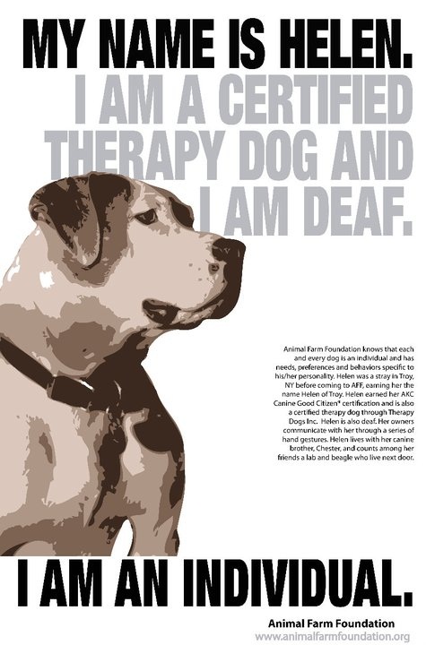 Passion for Pits: Animal Farm Foundation Posters