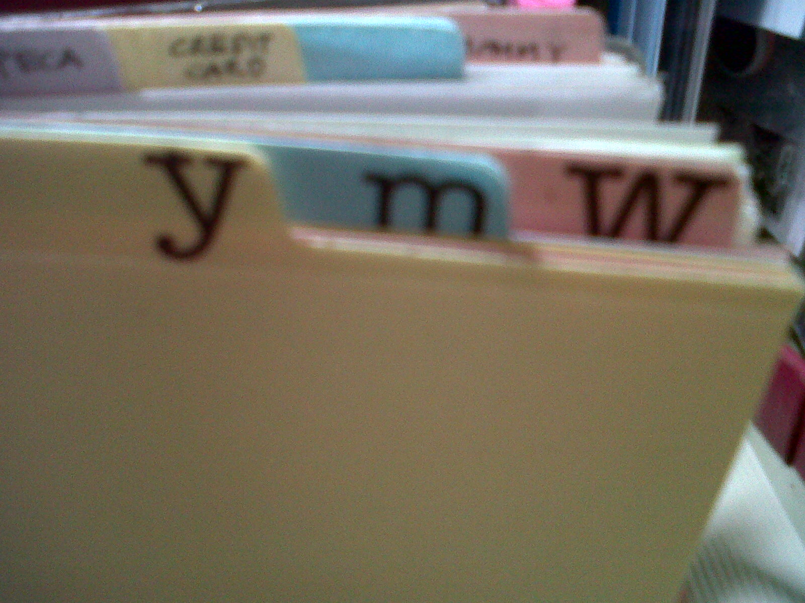 The Storage Studio: DIY Tabs/Dividers