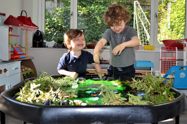 Arthurwears: How to set up a Life cycle of a Frog Tuff Tray Pond