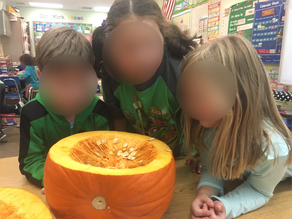 Fifth to Kindergarten