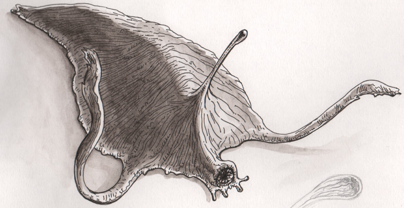 Scribblings or Something: On the Physiology of... the Otyugh - Part Two.