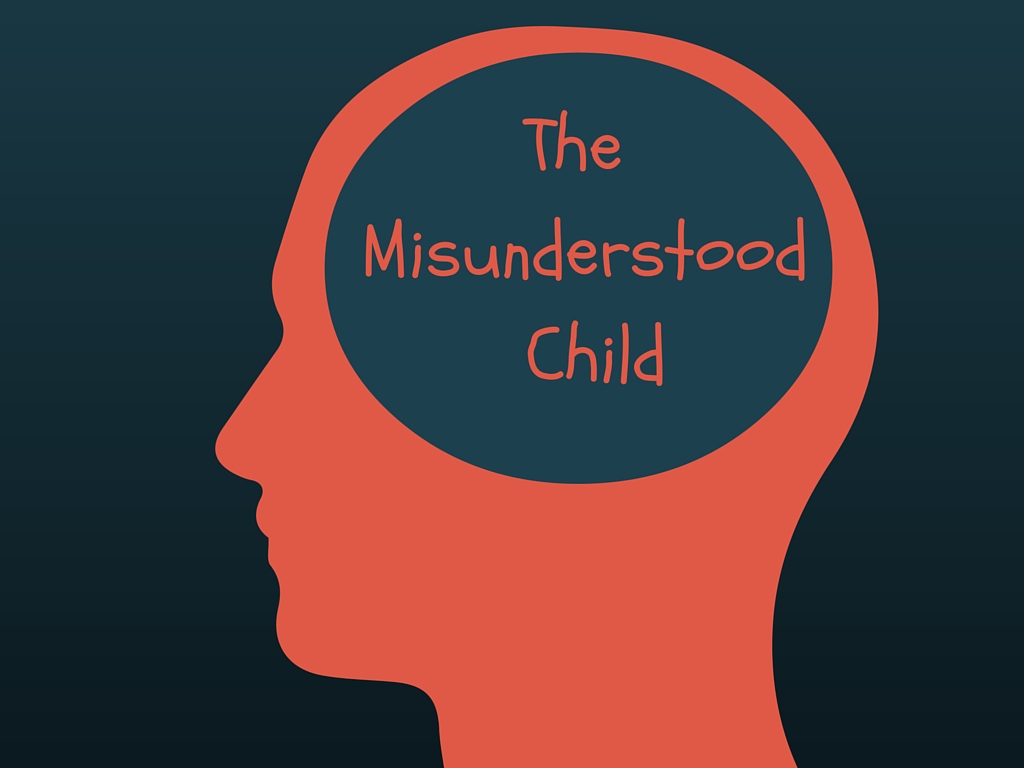 Maxed-Out Minivan: The Misunderstood Child