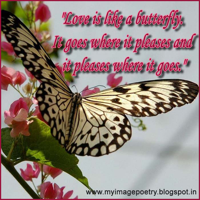 Image Poetry: Love is Like Quotes