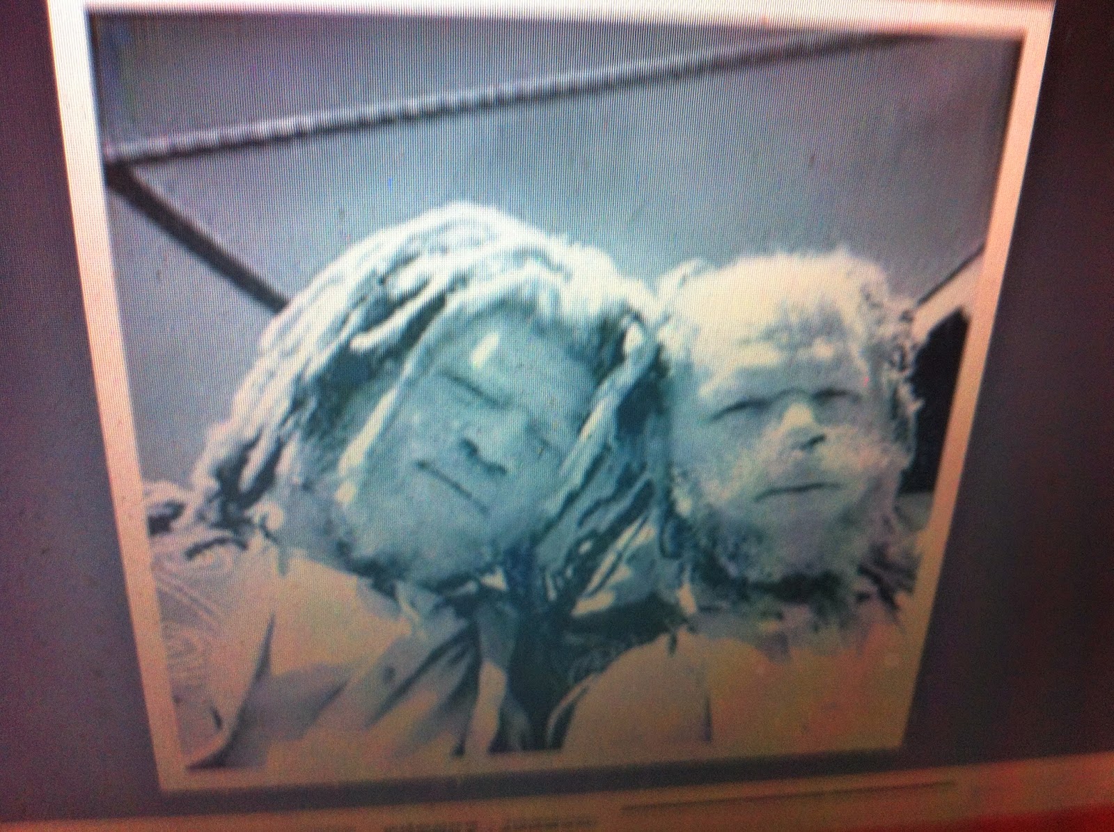 THE BLACK SOCIAL HISTORY:: BLACK SOCIAL HISTORY : AFRICAN AMERICAN ...