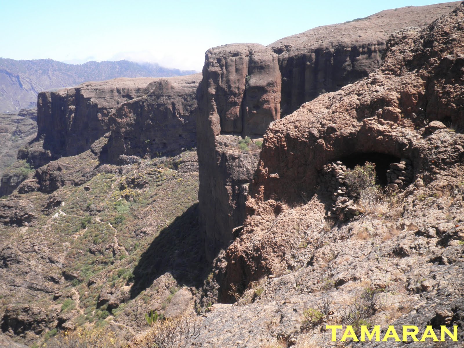 TAMARAN: TAMARAN DE BARRANCOS