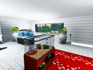 Pet Shop - Via Sims