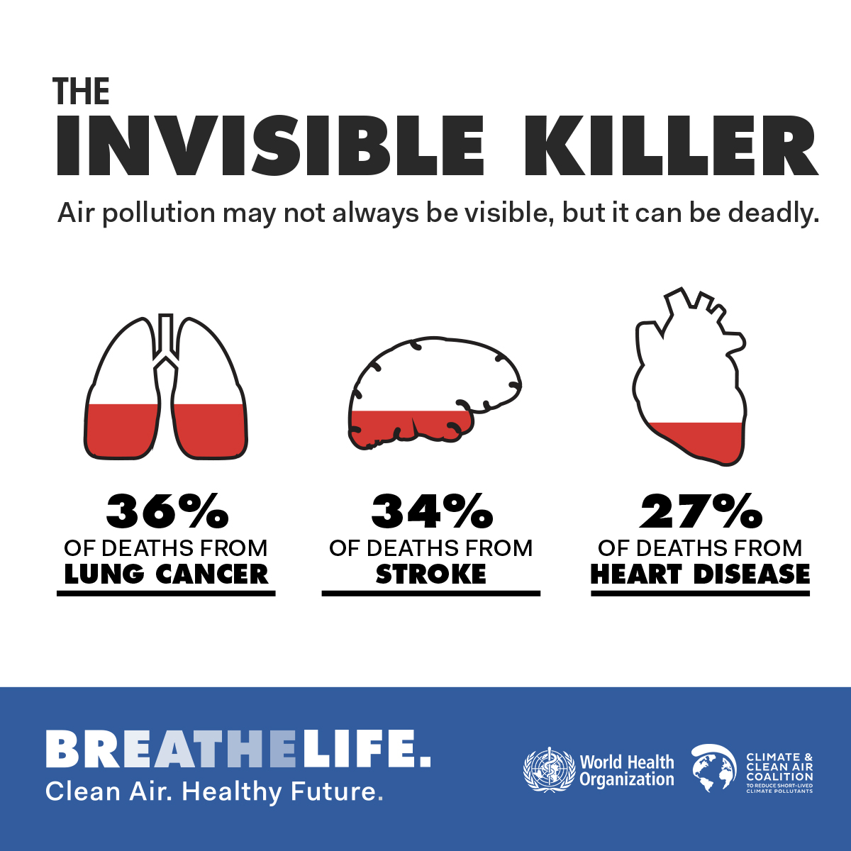 Health Observation: Air Pollution - WHO: Breathe Life