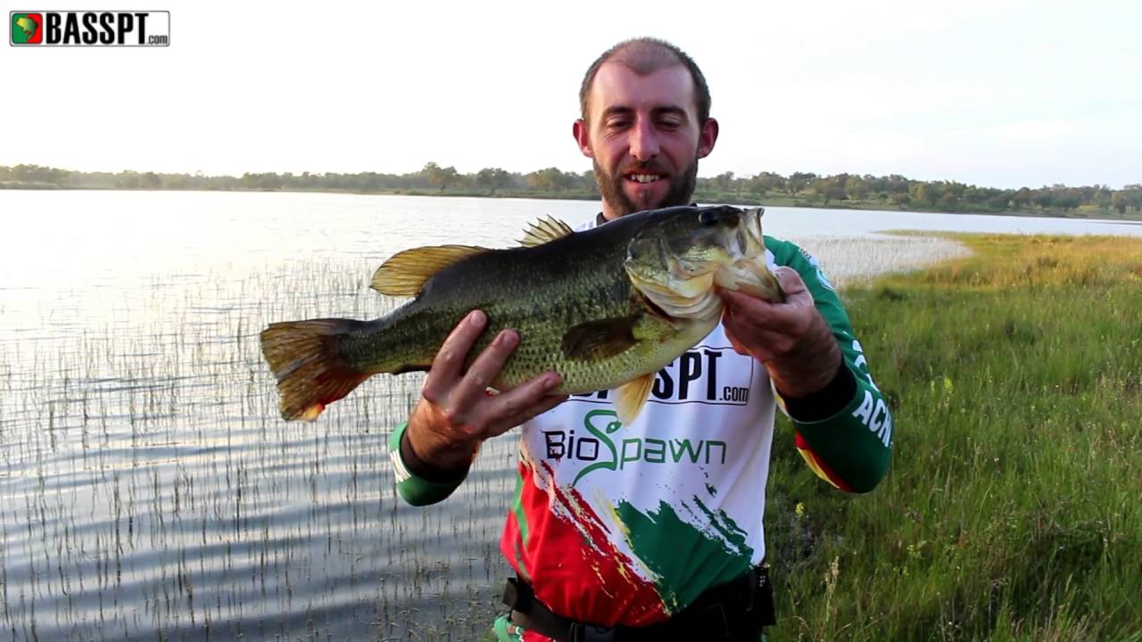 O melhor Alentejo do Mundo: Achigã