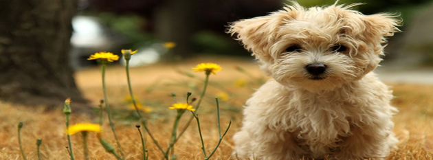 25 Awesome Facebook Timeline Covers download - Gamer Mag