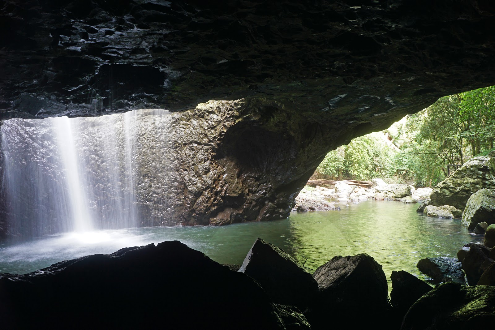 Twin Falls Circuit (Springbrook National Park) ~ The Long Way's Better