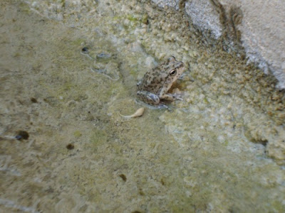 Crossroads in Abu Dhabi: Muscat, Oman