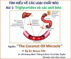 Phân loại Acid béo