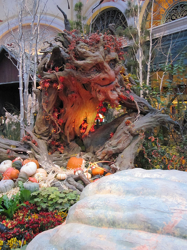 Every Day Is Special: June 23 – Anniversary of the Completion of a Tree ...