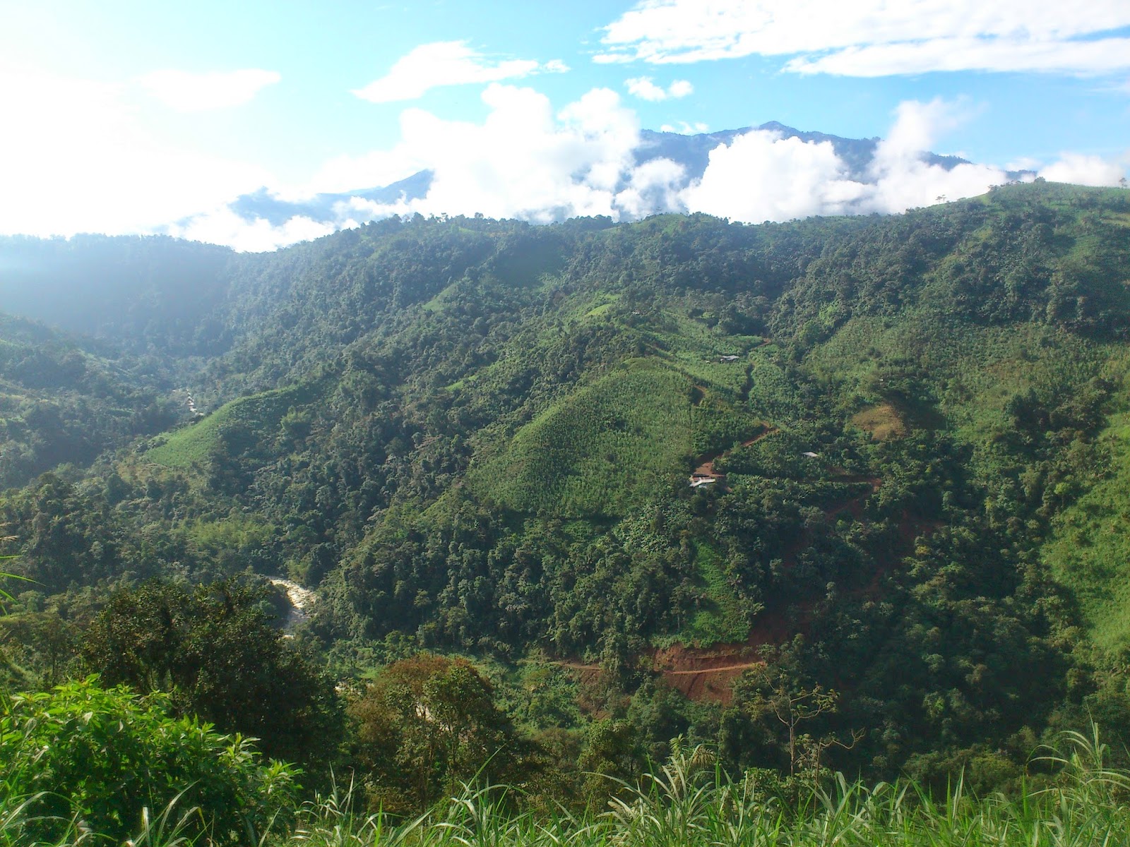 VISTAS DE LOS PAISAJES DE PANGUA : PAISAJES DE PANGUA