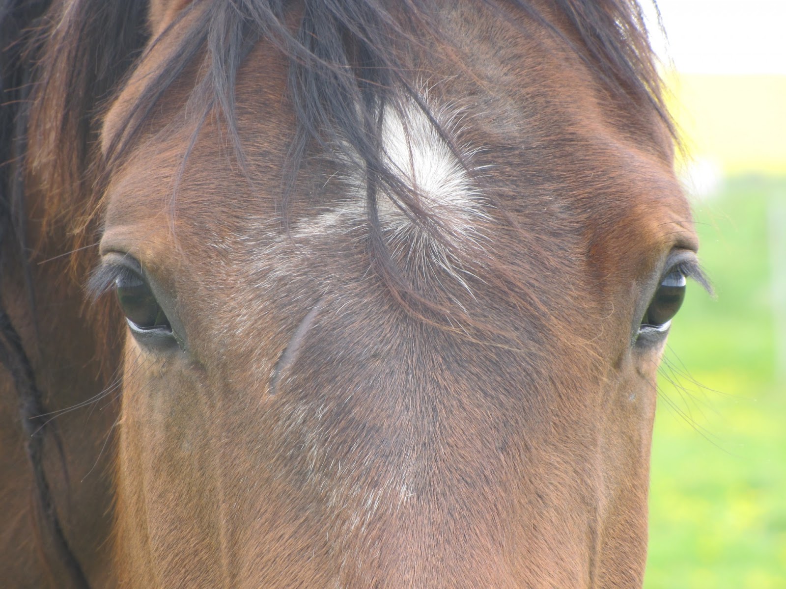 Green Grandma: When stress builds up, it's time to do something about ...