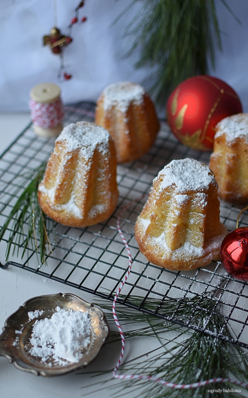 ogrody babilonu: mini Pandoro