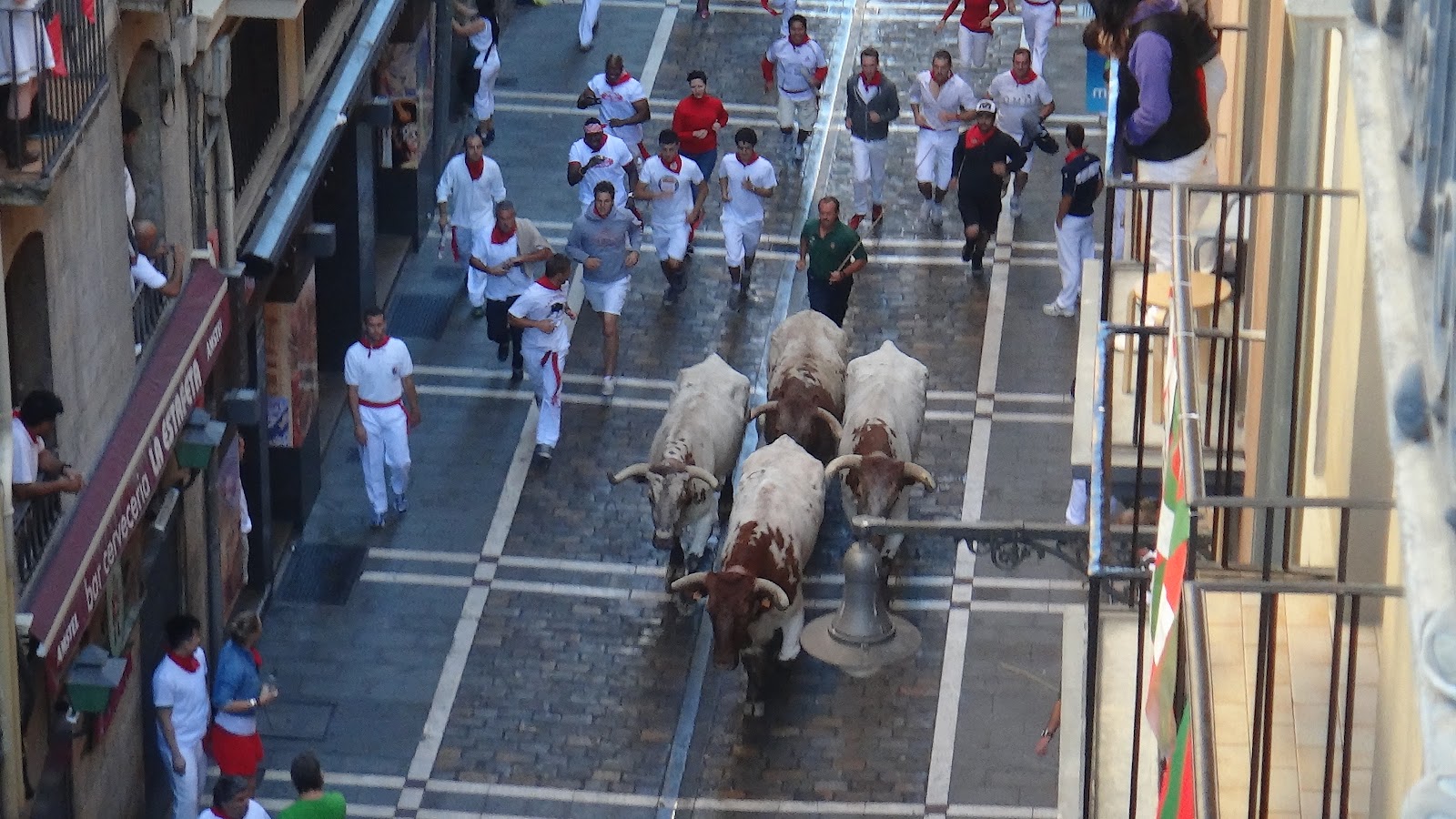 Running of the Bulls Basics: Stages of the Bull Run