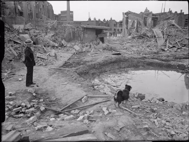 10 Ways Animals Have Helped the War Effort from World War I & II ...