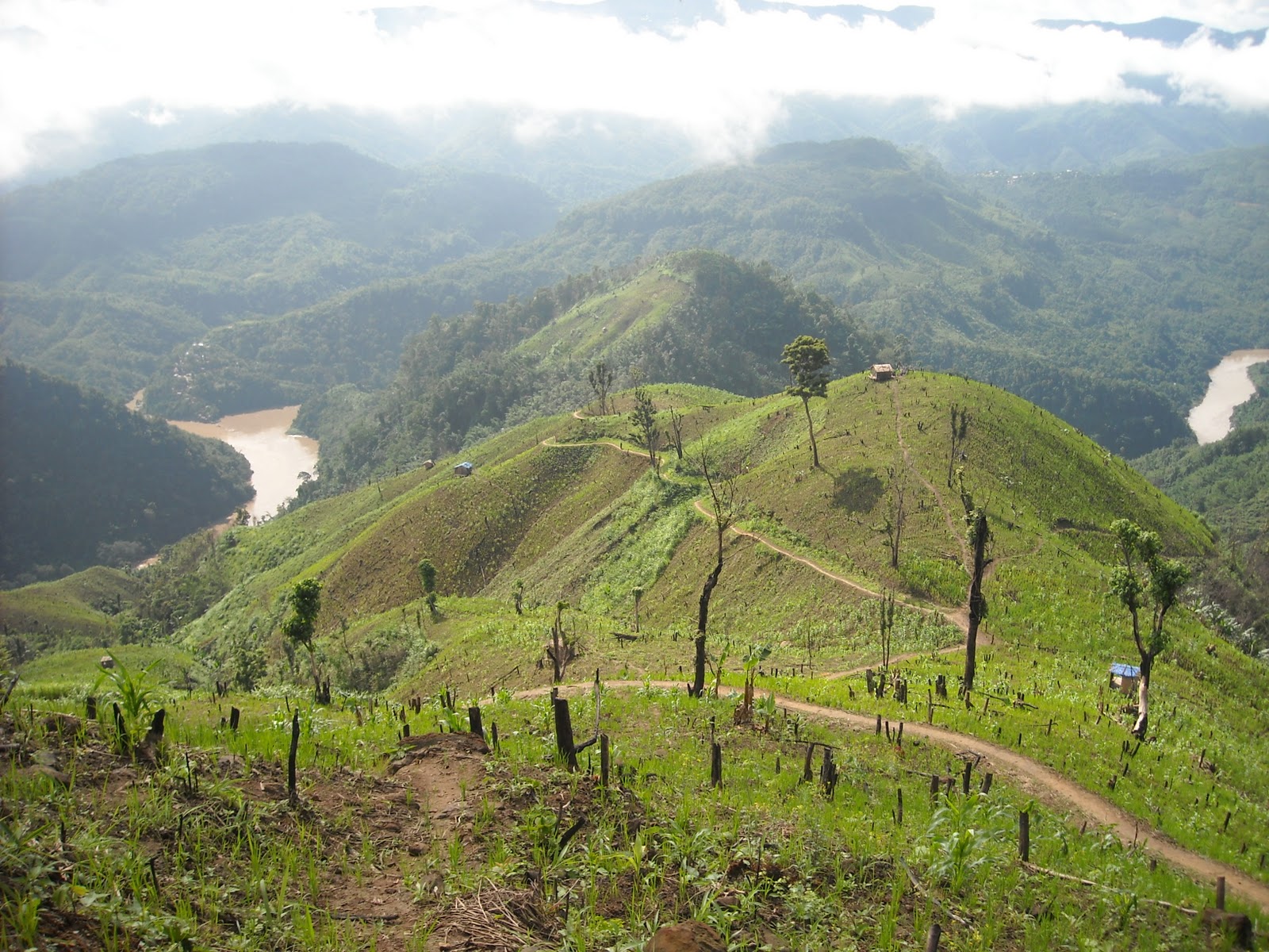 LIFExperiences: Jhuming cultivation in the North-East India
