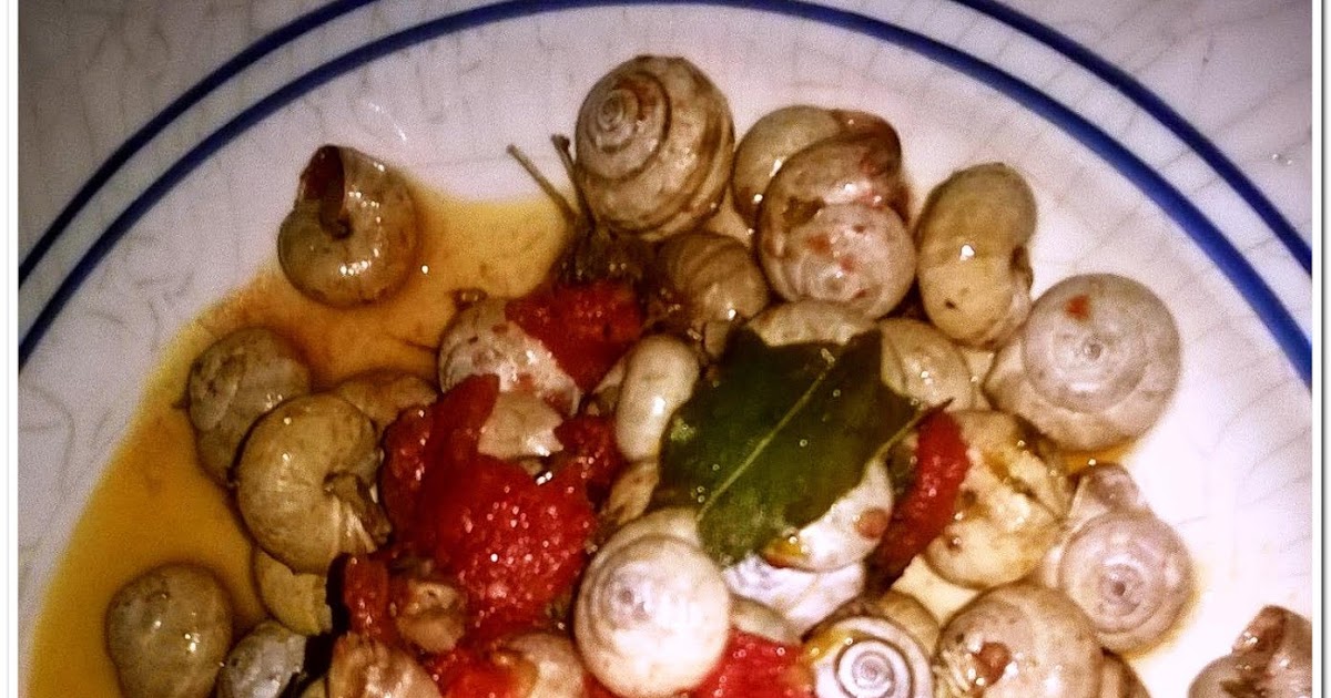 Lumachine di terra chiocciole con pomodoro all’origano